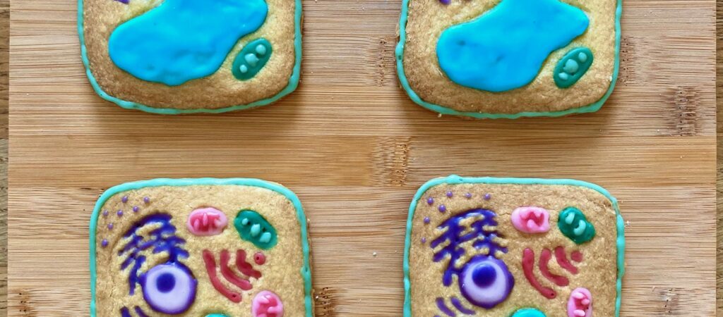 Plant cell biscuits - The Great British Bake Off | The Great British ...