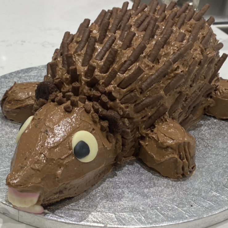 Hedgehog cake - The Great British Bake Off