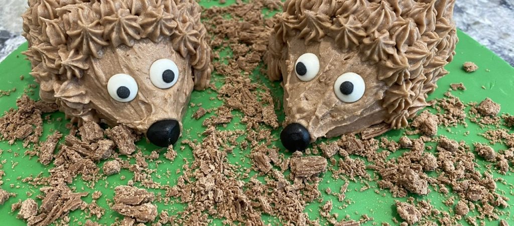 Mini hedgehog cakes - The Great British Bake Off | The Great British ...
