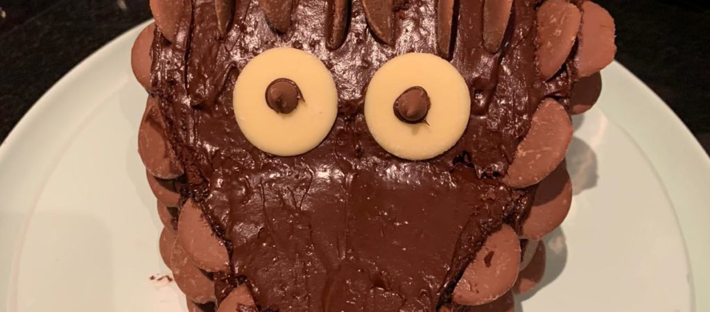 Chocolate hedgehog cake - The Great British Bake Off | The Great ...