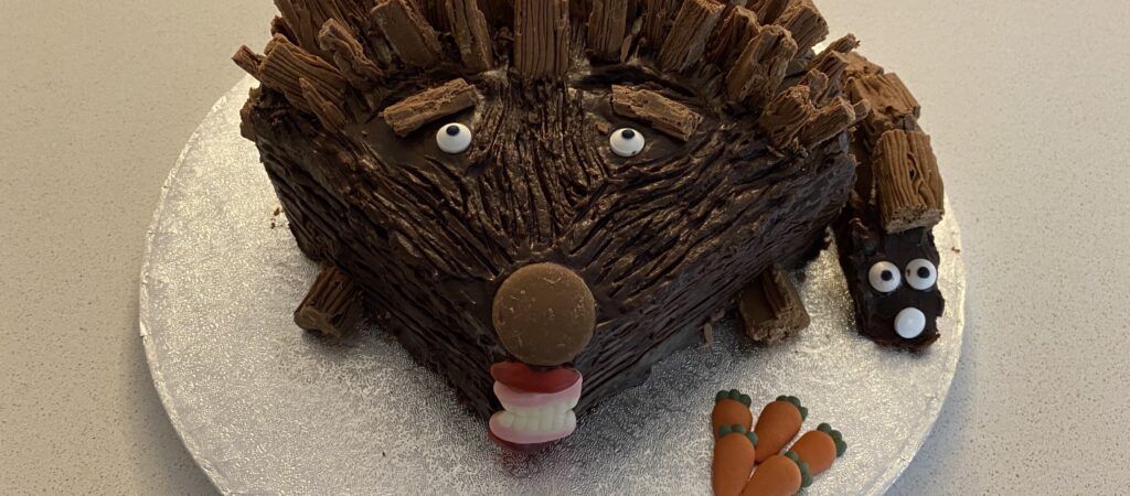 Hedgehog and son cake - The Great British Bake Off | The Great British ...