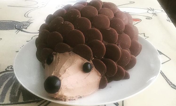 Harry the hedgehog cake - The Great British Bake Off | The Great ...