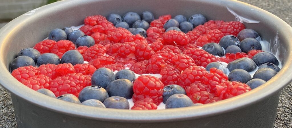 Juberry cheesecake - The Great British Bake Off | The Great British ...