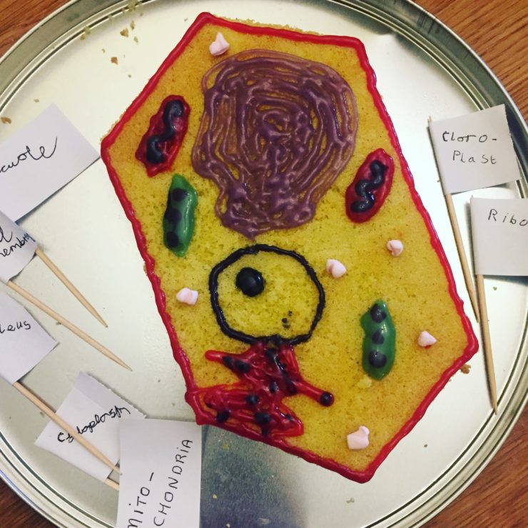 Plant Cell Cake - The Great British Bake Off