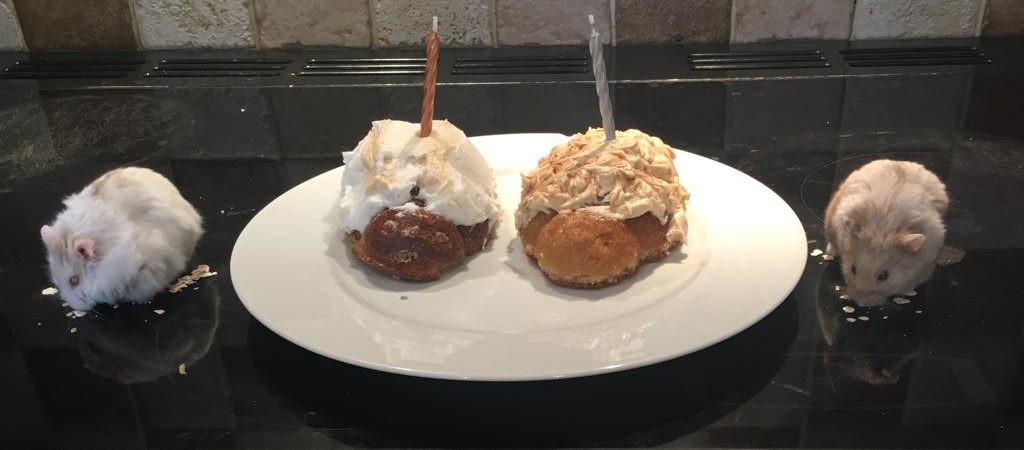 'Hamster Heaven' bakes - The Great British Bake Off | The Great British ...