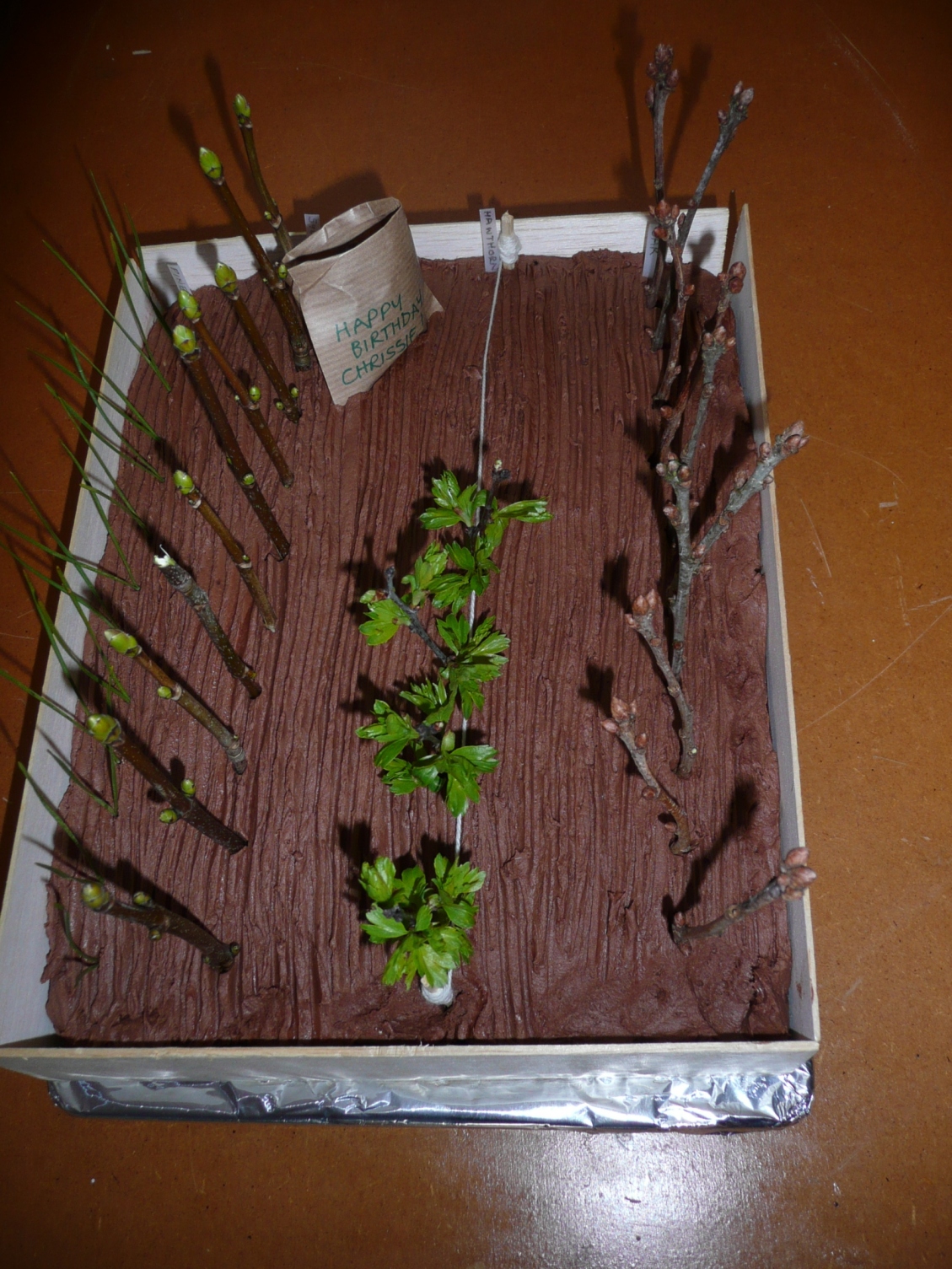 Tree Nursery - The Great British Bake Off | The Great British Bake Off