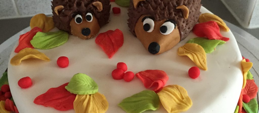 Mary's Hedgehog fruit cake - The Great British Bake Off | The Great ...