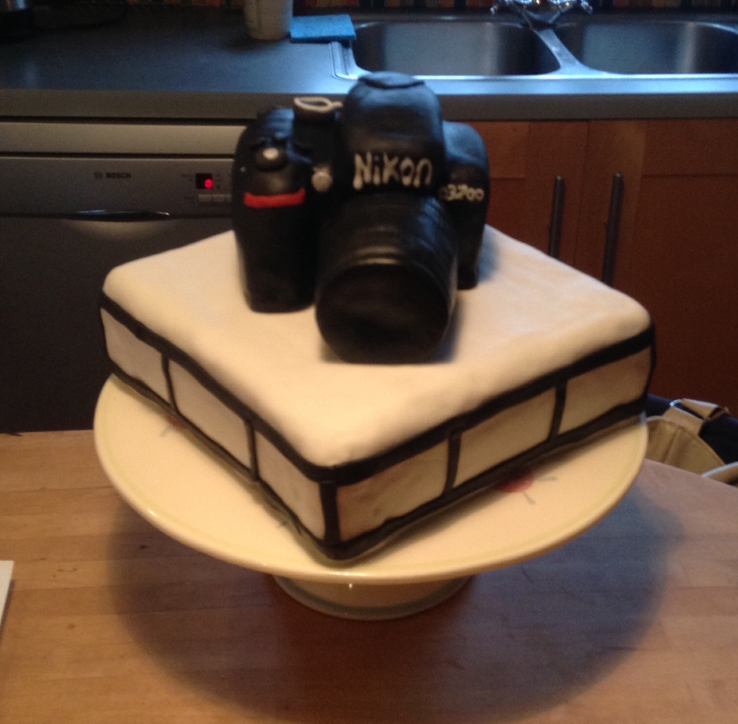nikon camera cake - The Great British Bake Off
