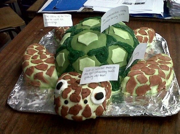 Turtle cake - The Great British Bake Off | The Great British Bake Off