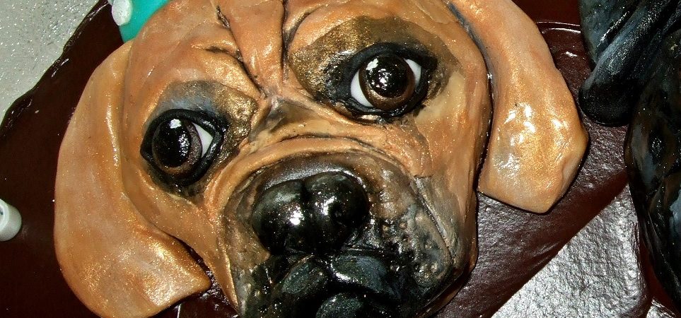 A rich chocolate pug cake - The Great British Bake Off | The Great ...